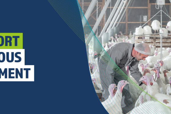 Job Hendrix Genetics - Farm manager Permanent Contract