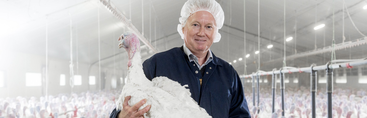 Job Hendrix Genetics - Director of R&D, BU Turkeys Permanent