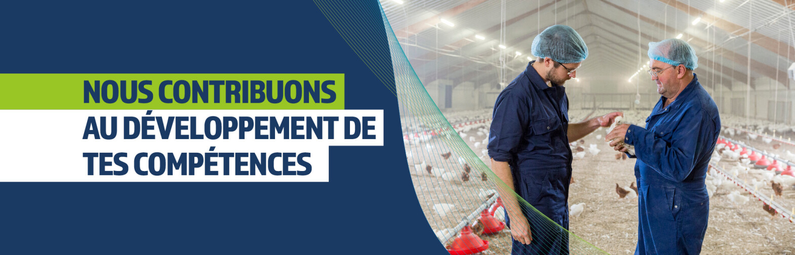Job Hendrix Genetics - Opérateur avicole polyvalent (F/H) Permanent
